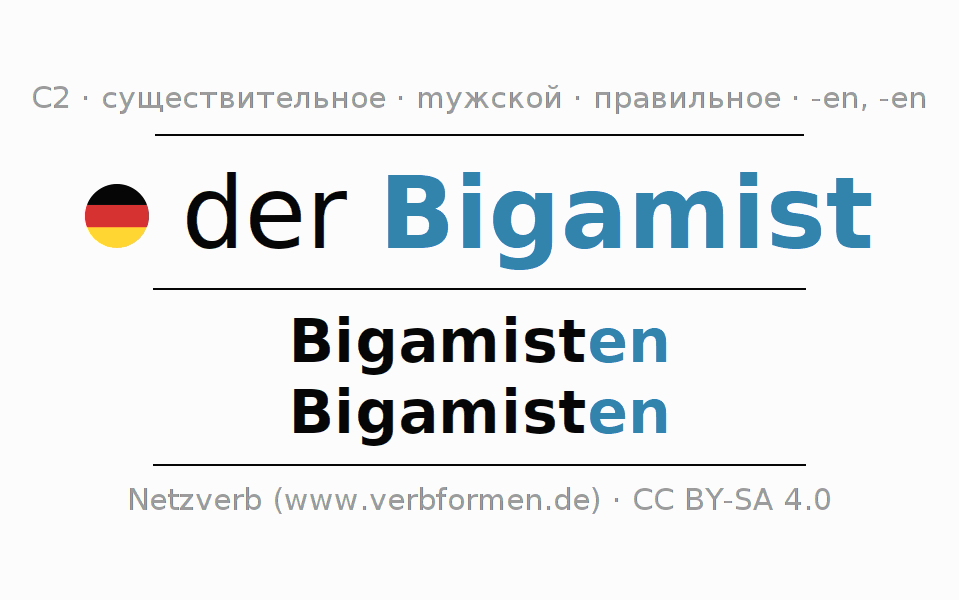 Cклонение Bigamist | Все формы, множественное число, правила, речевой ...